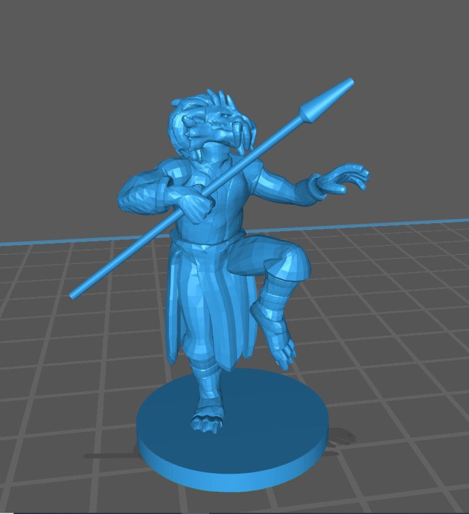 Dragonborn Monk Mini DND Pathfinder Dungeons & Dragons | Etsy