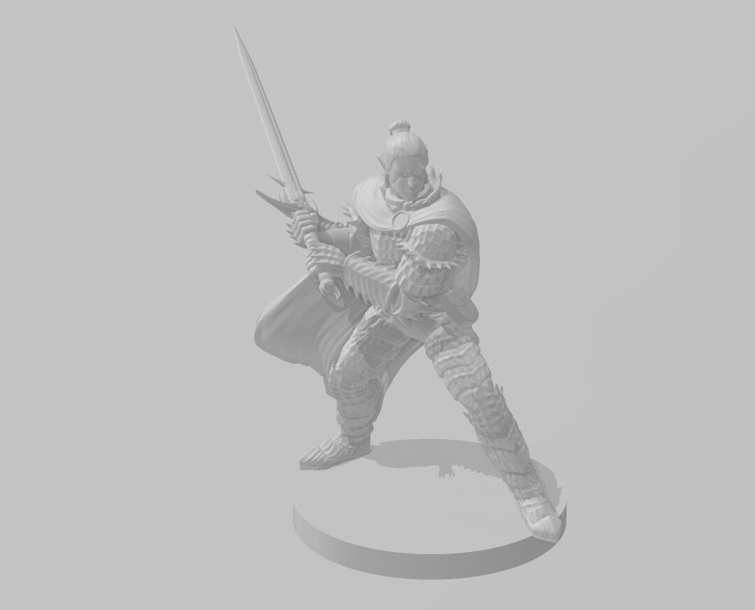 Elf Male Fallen Paladin - DND - Pathfinder - Dungeons & Dragons - RPG ...