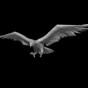 Blood Hawk Mini - DND - Pathfinder - Dungeons & Dragons - RPG ...