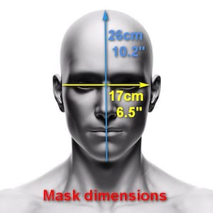 Human Skull Mask Full Face With Realistic Teeth and Bone Shape - Etsy