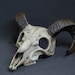 Ram Skull Mask for Cosplay, Carnival or Decor - Etsy