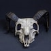 Ram Skull Mask for Cosplay, Carnival or Decor - Etsy