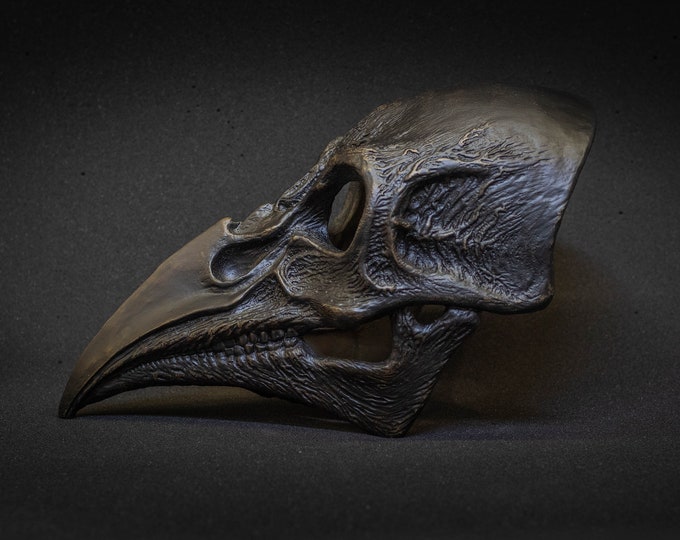 Plague Doctor Mask Bird Skull With a Movable Jaw. - Etsy