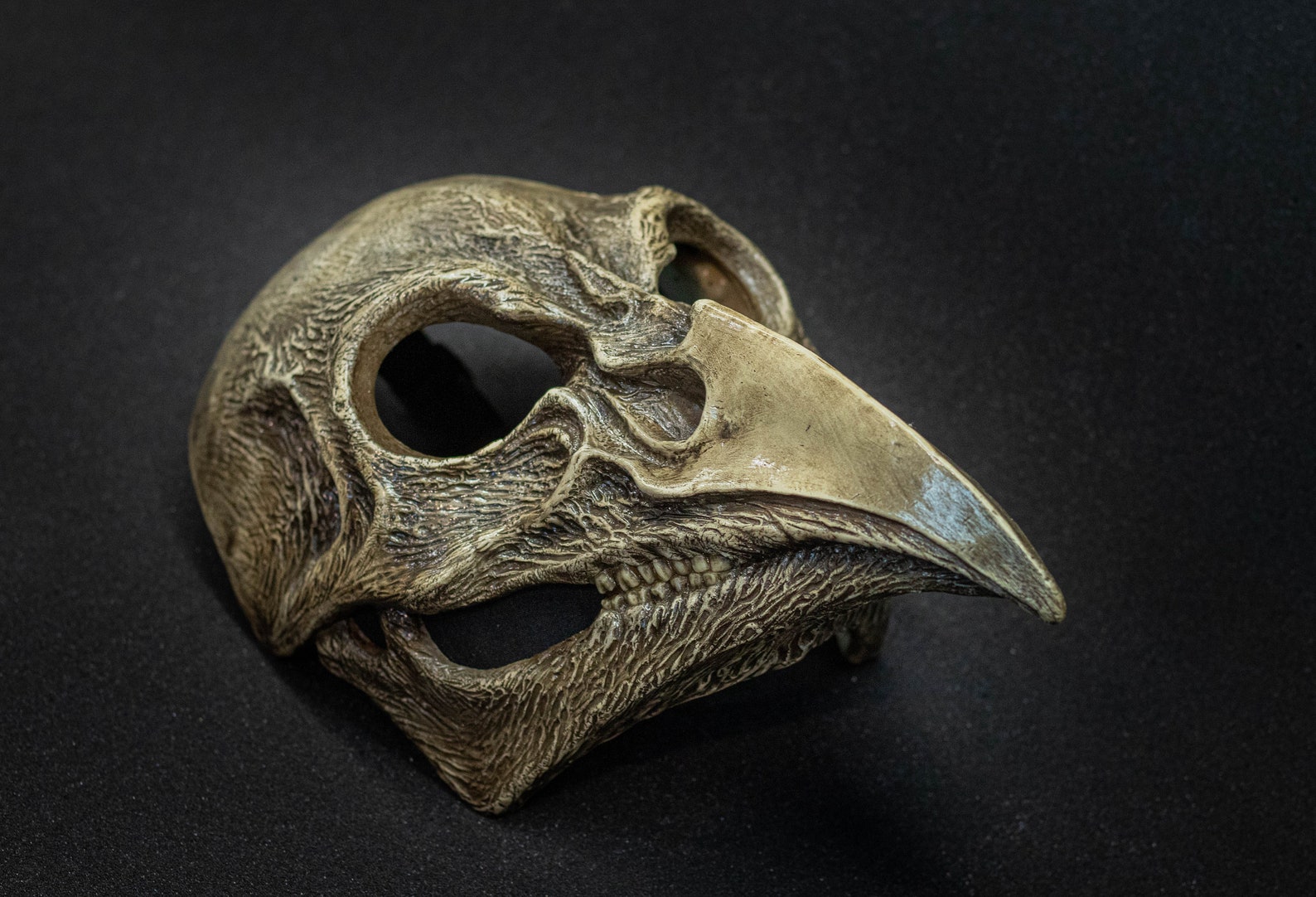 Plague Doctor Mask Bird Skull Bone Shape With Movable Jaw | Etsy