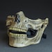 Skull Mask With Movable Jaw Lower Part - Etsy
