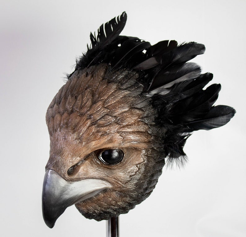 Bird mask with natural feathers for cosplay or carnival Falcon | Etsy