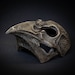 Plague Doctor Mask Bird Skull Bone Shape With a Movable Jaw - Etsy Canada