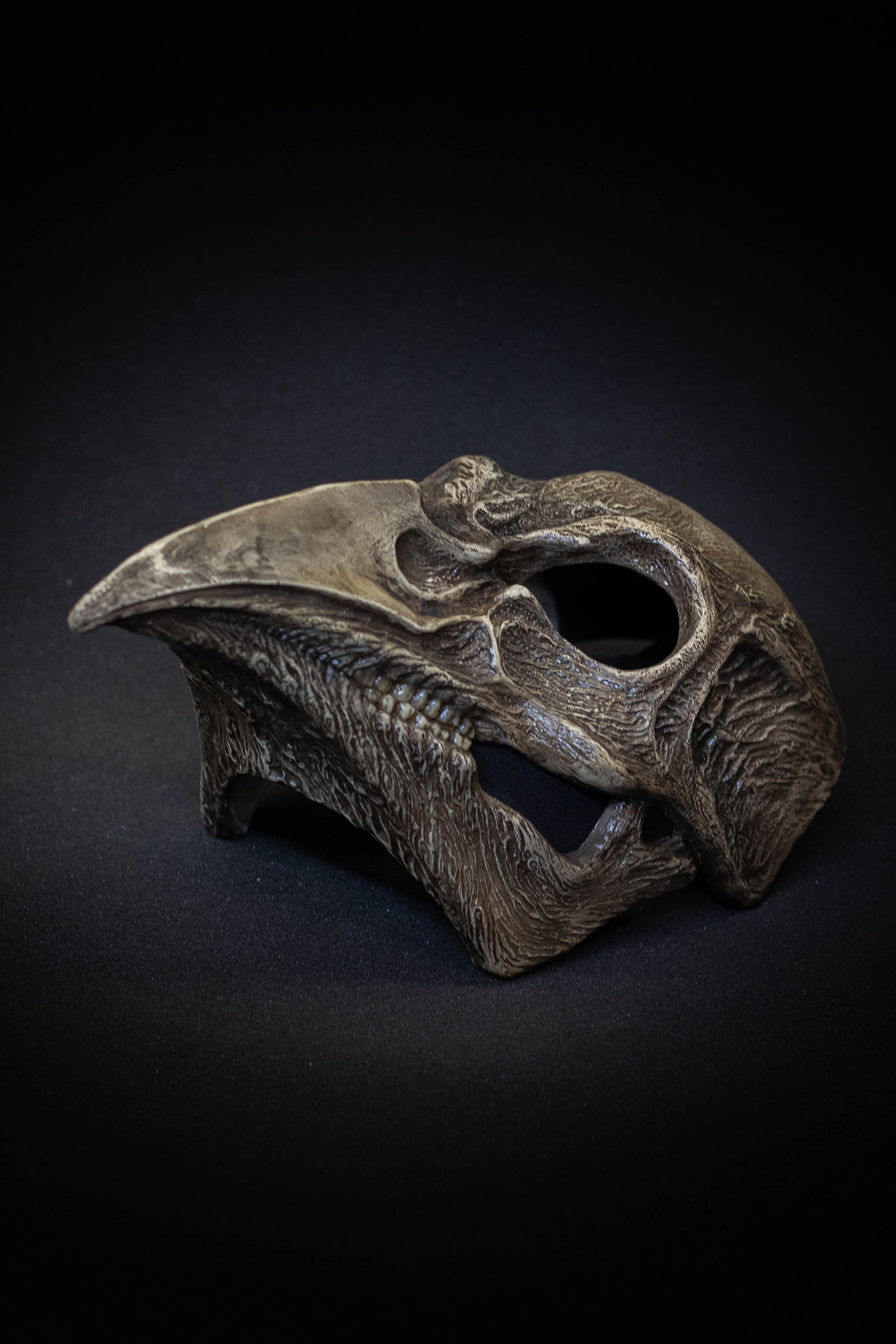 Plague Doctor mask bird skull bone shape with movable jaw | Etsy