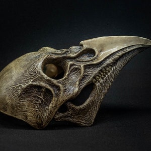 Plague Doctor Mask Bird Skull Bone Shape With a Movable Jaw - Etsy