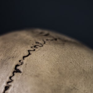 Human Skull Mask Full Face With Realistic Teeth and Bone Shape - Etsy