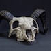 Ram Skull Mask for Cosplay, Carnival or Decor - Etsy