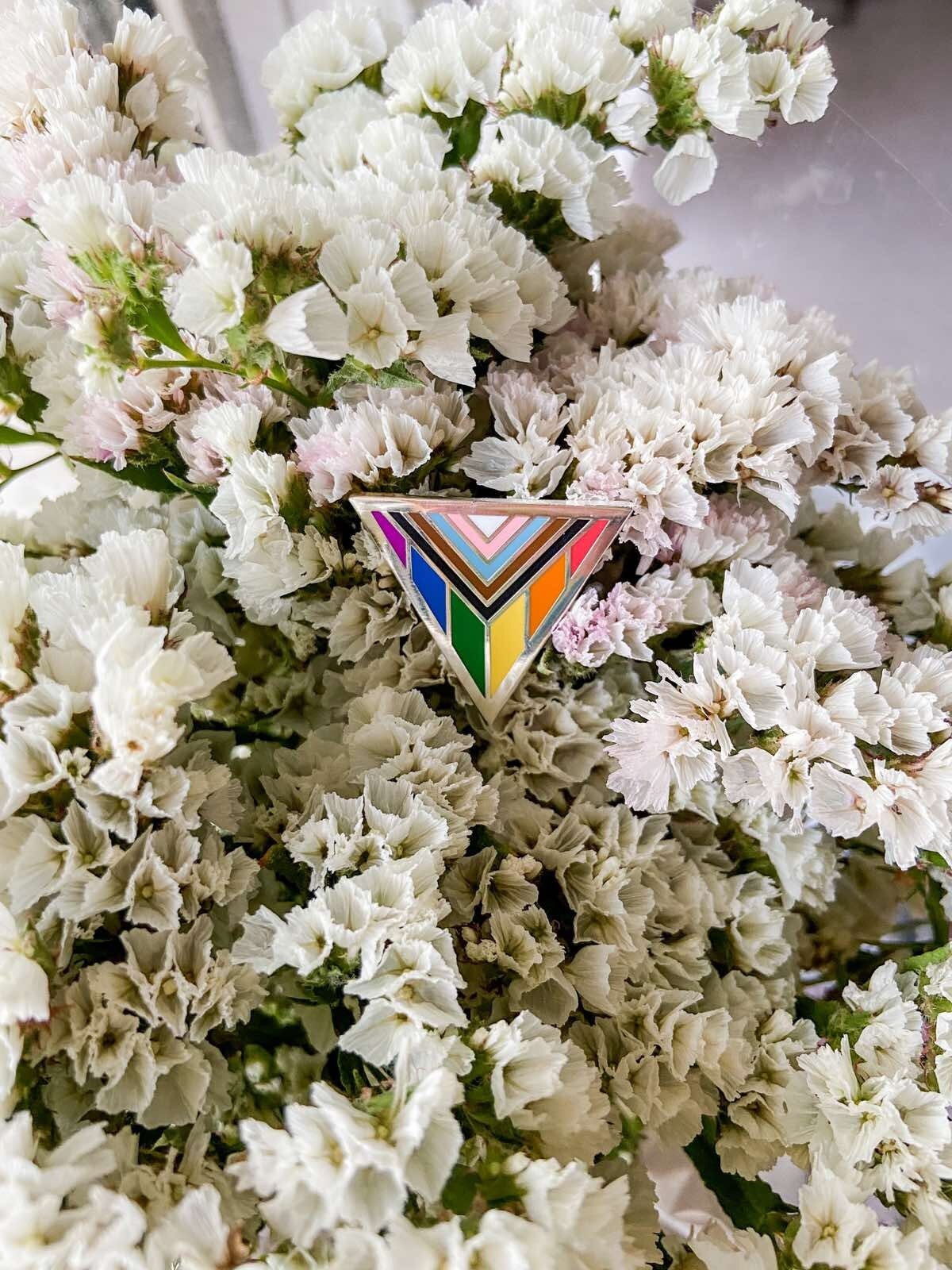 Queer Pride Flag Enamel Pin Silver Plated Progressive Pride - Etsy
