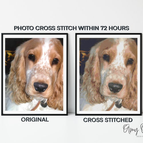 Photo to Cross Stitch Pattern Custom Made Pdf Download - Etsy