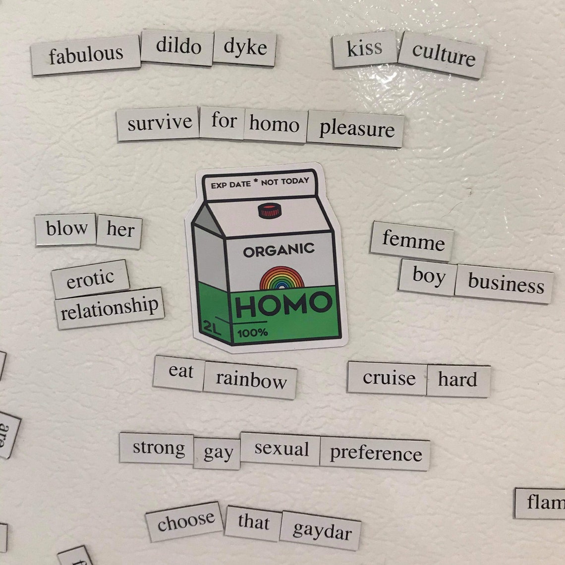 Homo Pride Magnet Homo Milk Gay Milk Carton 100% Pride - Etsy UK
