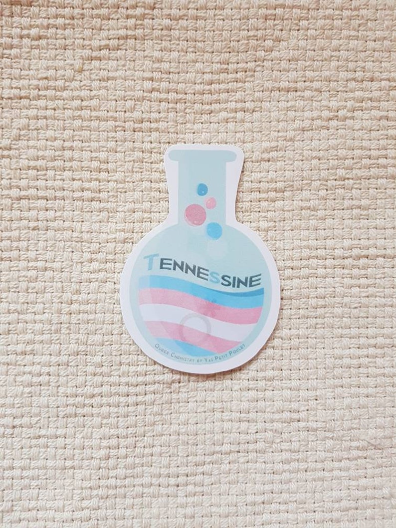 Pride Flask Sticker Pan Ace Asexual Enby Non Binary | Etsy