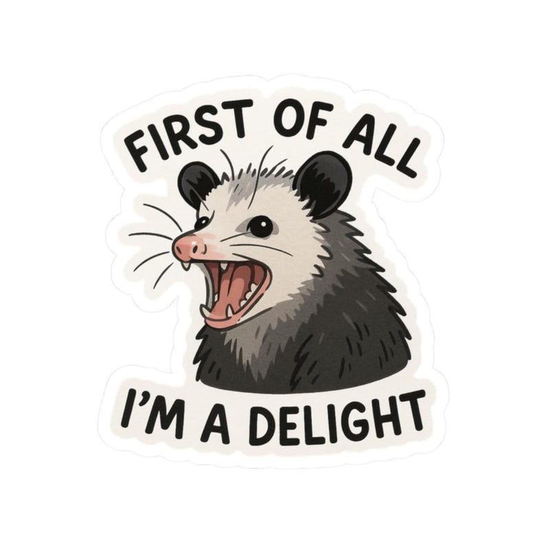 Opossum Stickers - Etsy
