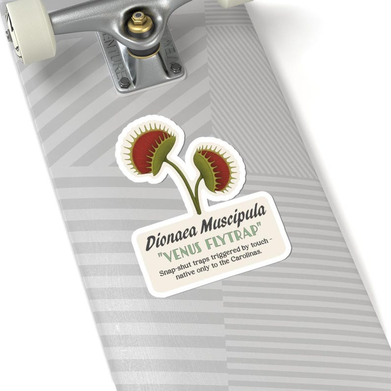 Venus Flytrap Sticker Dionaea Muscipula Vinyl Decal | Carnivorous Plant ...