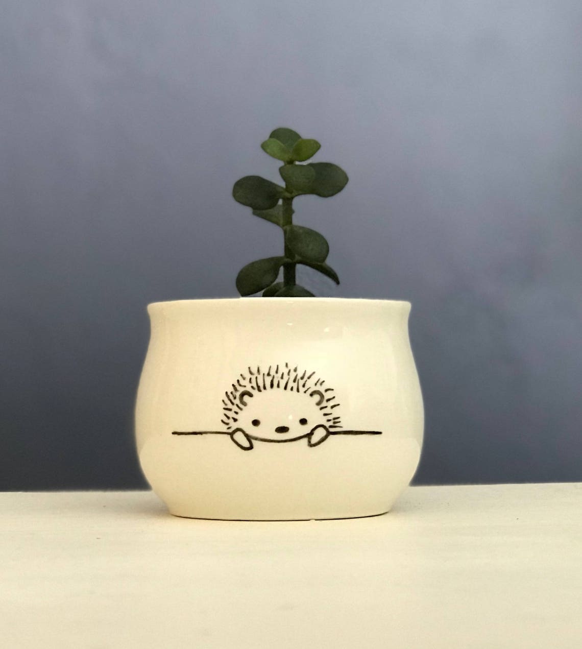 Hedgehog Hand-painted Mini Planter Pot 2 Inch Succulent Planter Jewelry ...