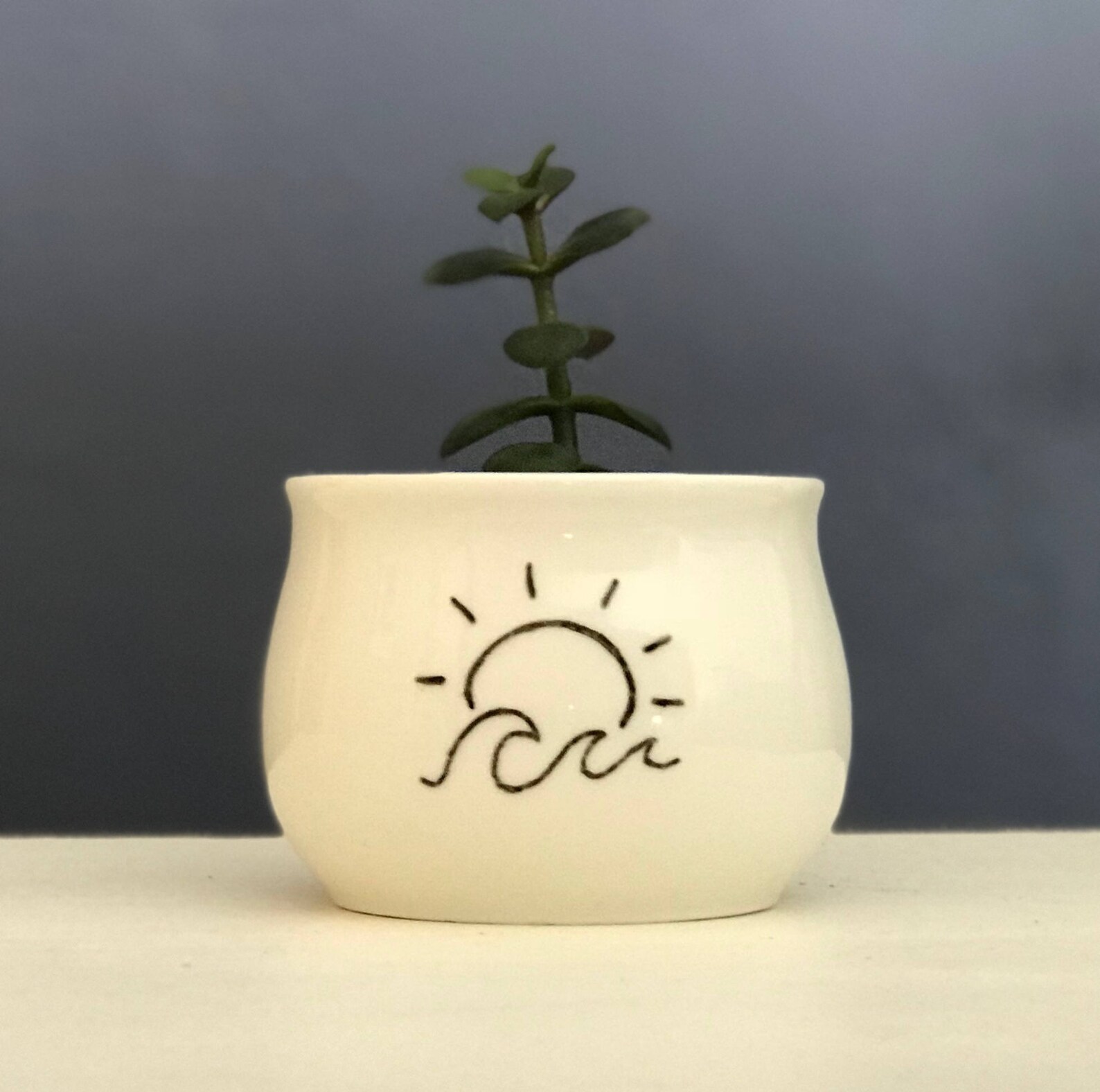 Hand-painted Mini Ceramic Planter 2 Inch Pot for Succulents Plants ...