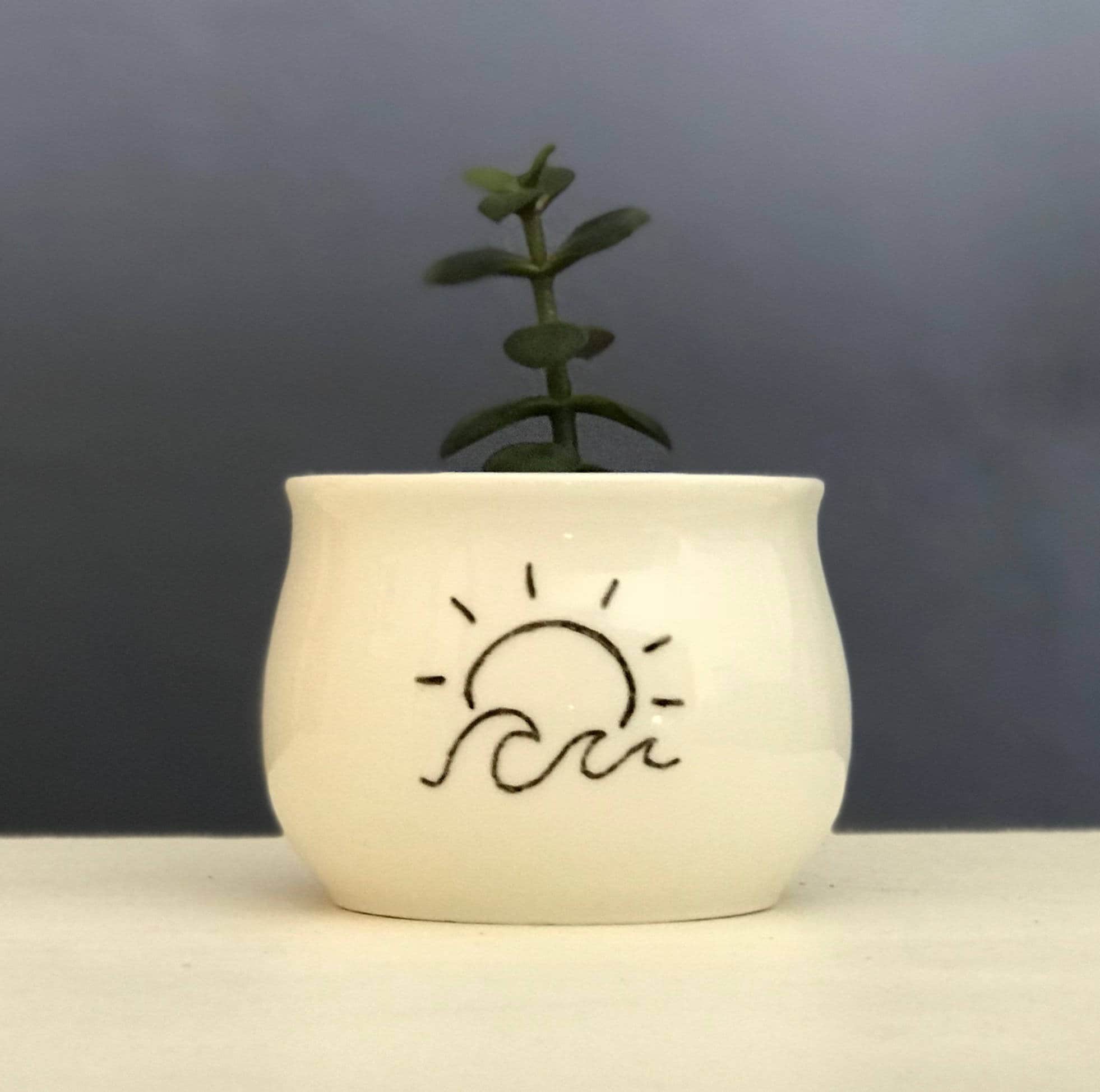Hand-painted Mini Ceramic Planter 2 Inch Pot for Succulents Plants ...