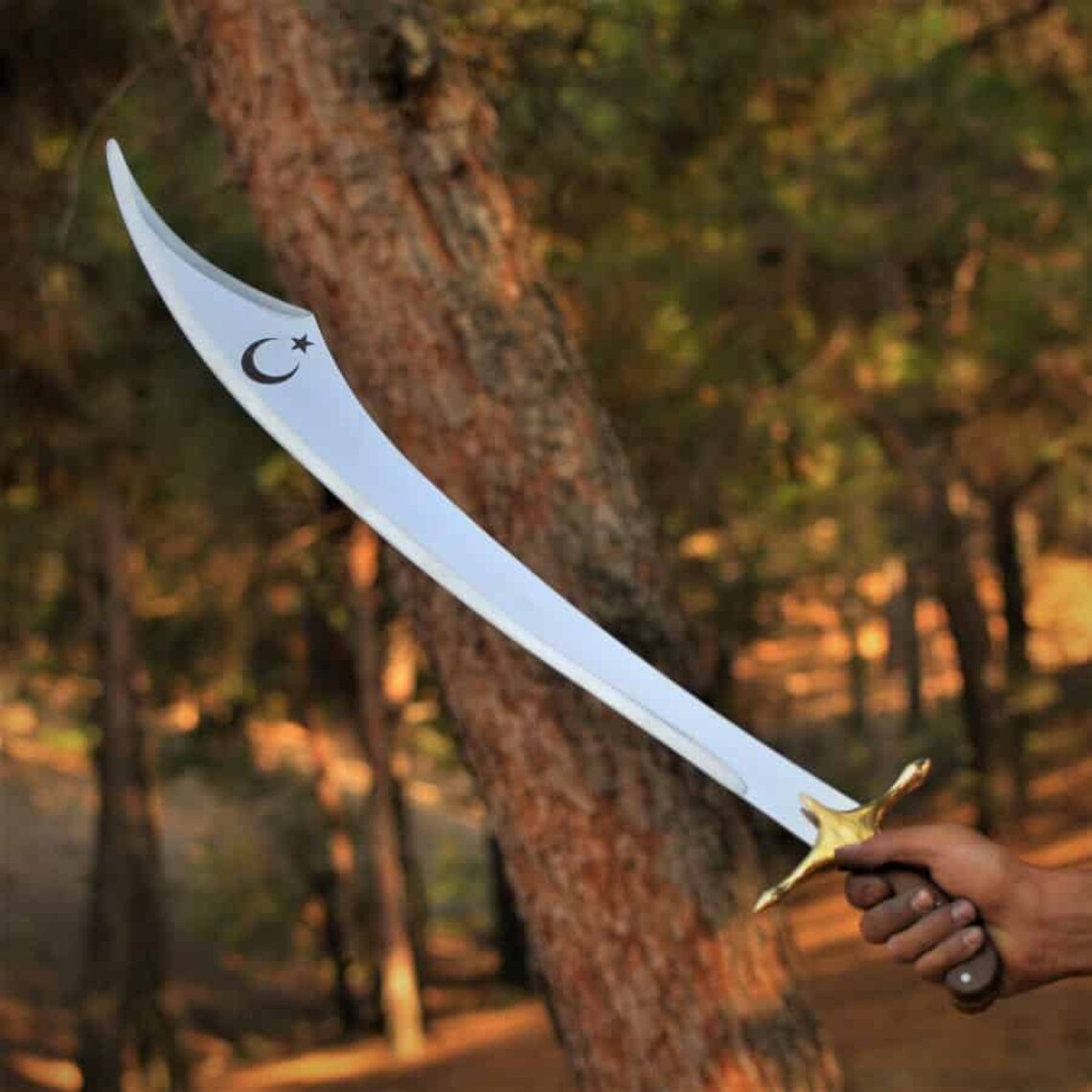 Customized Arabic Sinbad Scimitar Sword Sharpened Handmade | Etsy