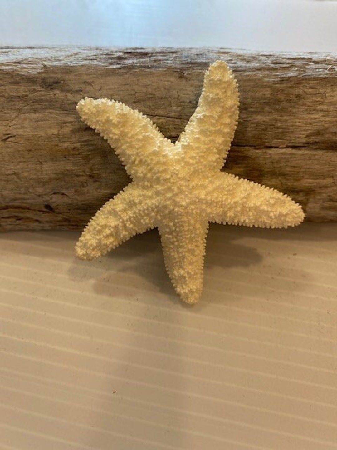 Resin Cast Starfish 2'' - Etsy