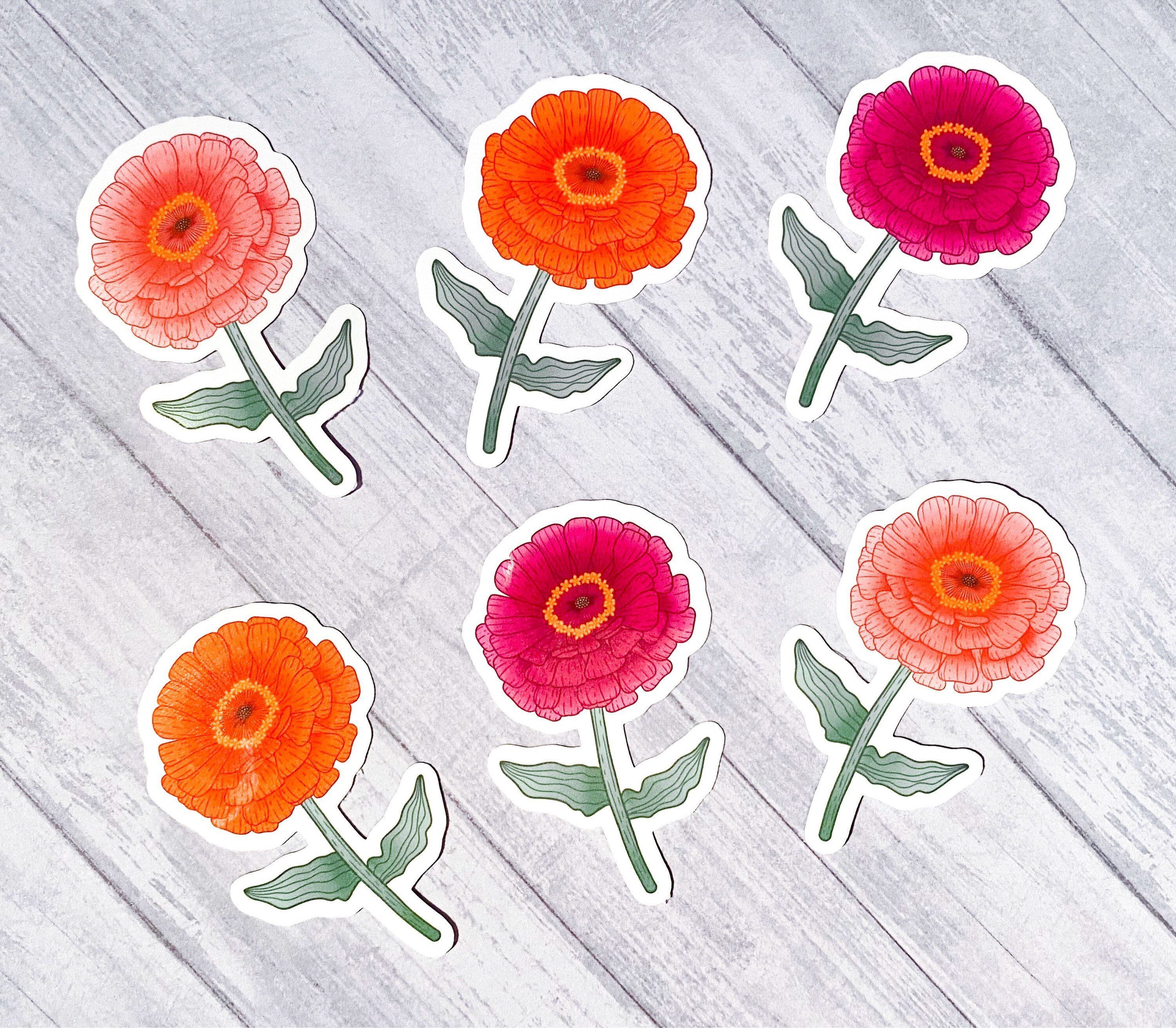 Zinnia Sticker | Flower Sticker | Stickers for Hydroflask | Laptop ...