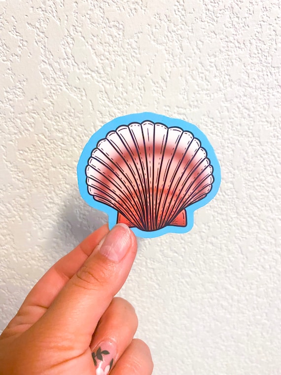 Seashell Sticker stickers Stickers for Hydroflask Laptop | Etsy