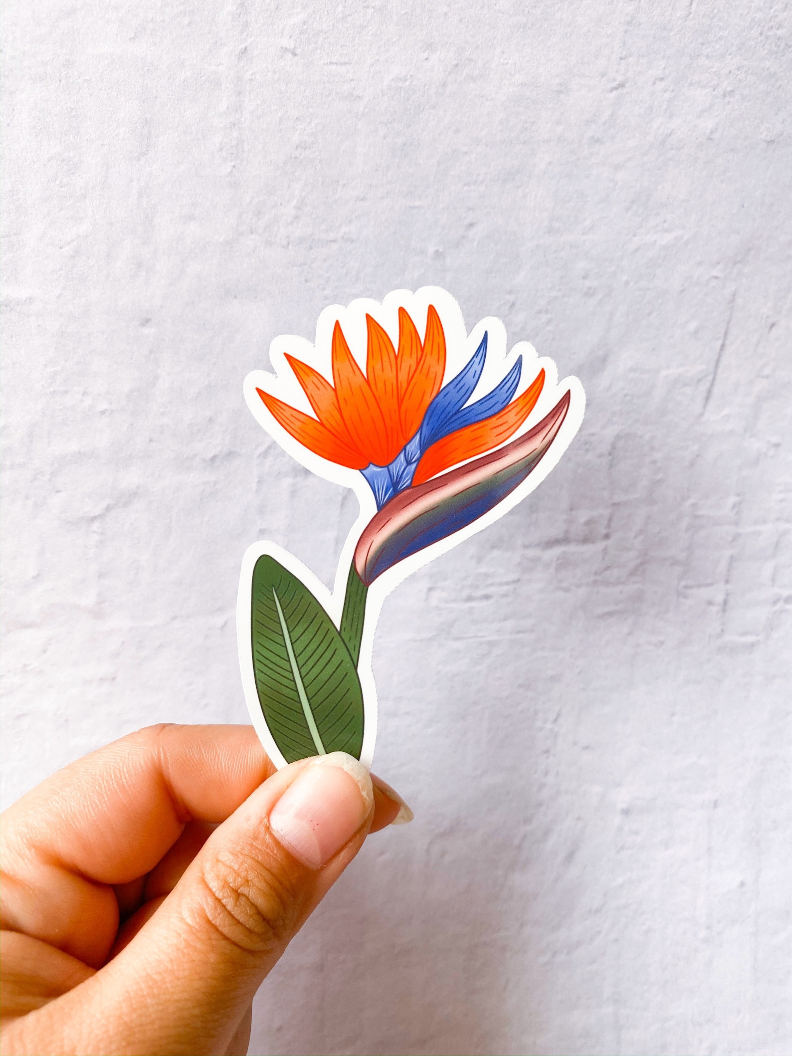 Bird of Paradise Sticker Stickers for Hydroflask laptop | Etsy