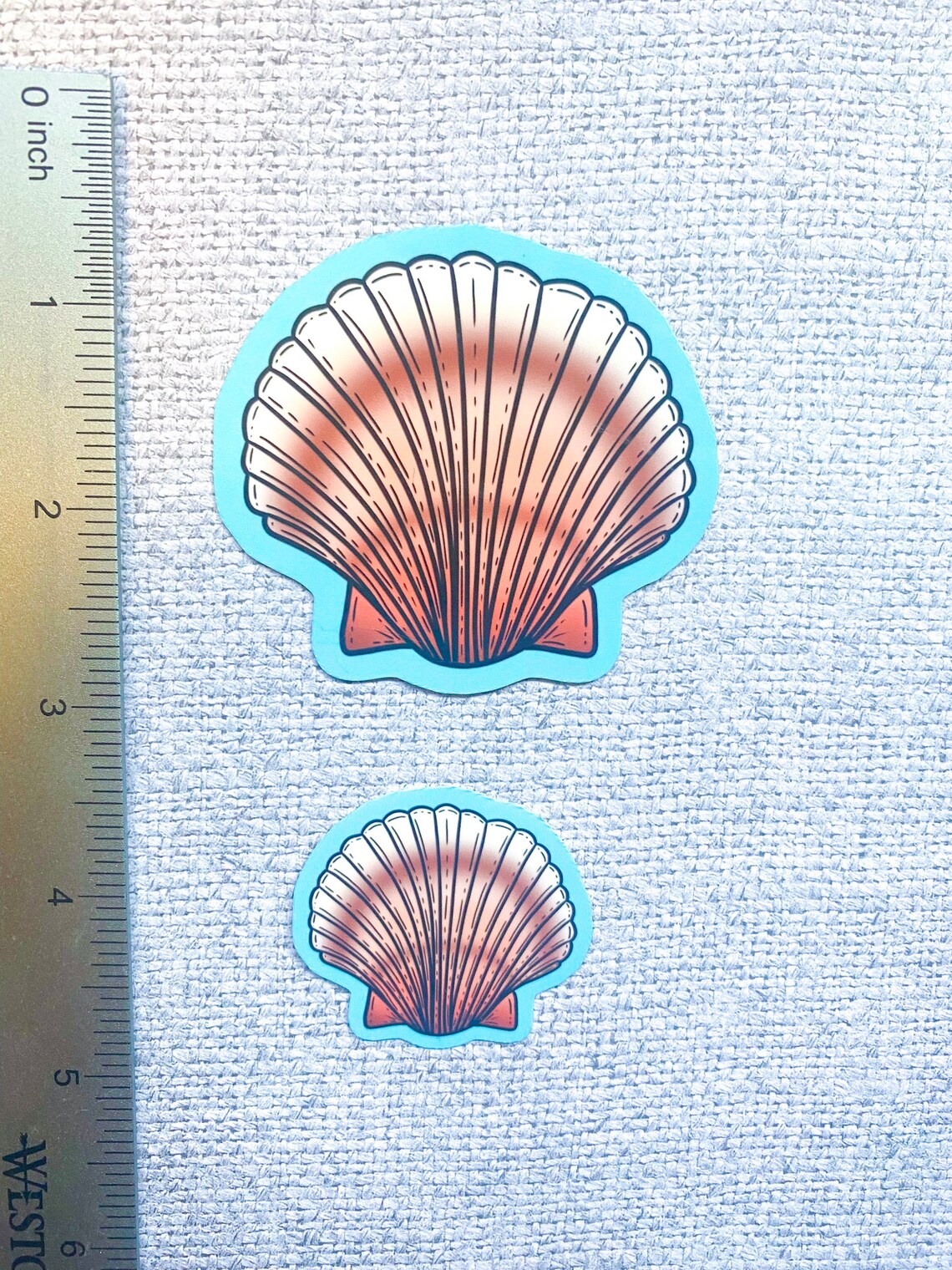 Seashell Sticker stickers Stickers for Hydroflask Laptop - Etsy