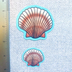 Seashell Sticker |stickers | Stickers for Hydroflask | Laptop Stickers ...