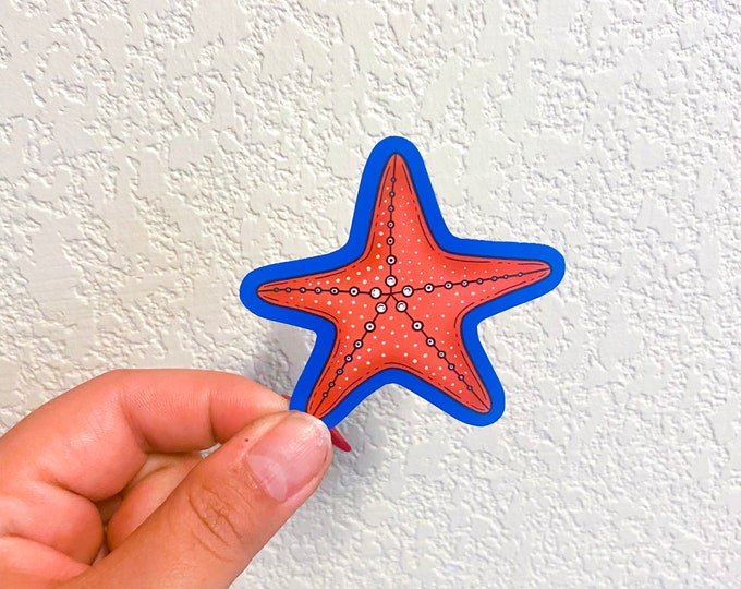 Smiling Starfish Sticker Die-cut Sticker Perfect for Gifts Waterproof ...