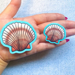 Seashell Sticker |stickers | Stickers for Hydroflask | Laptop Stickers ...