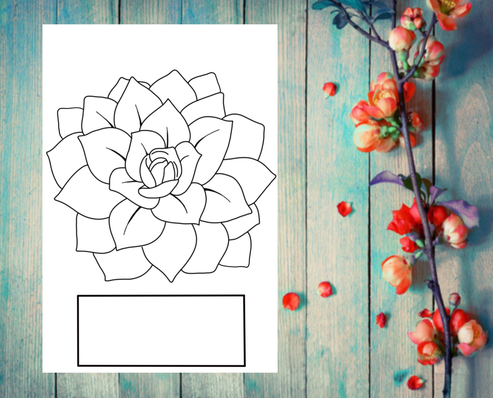 Succulent Mood Tracker - Digital Download / Printable - Etsy