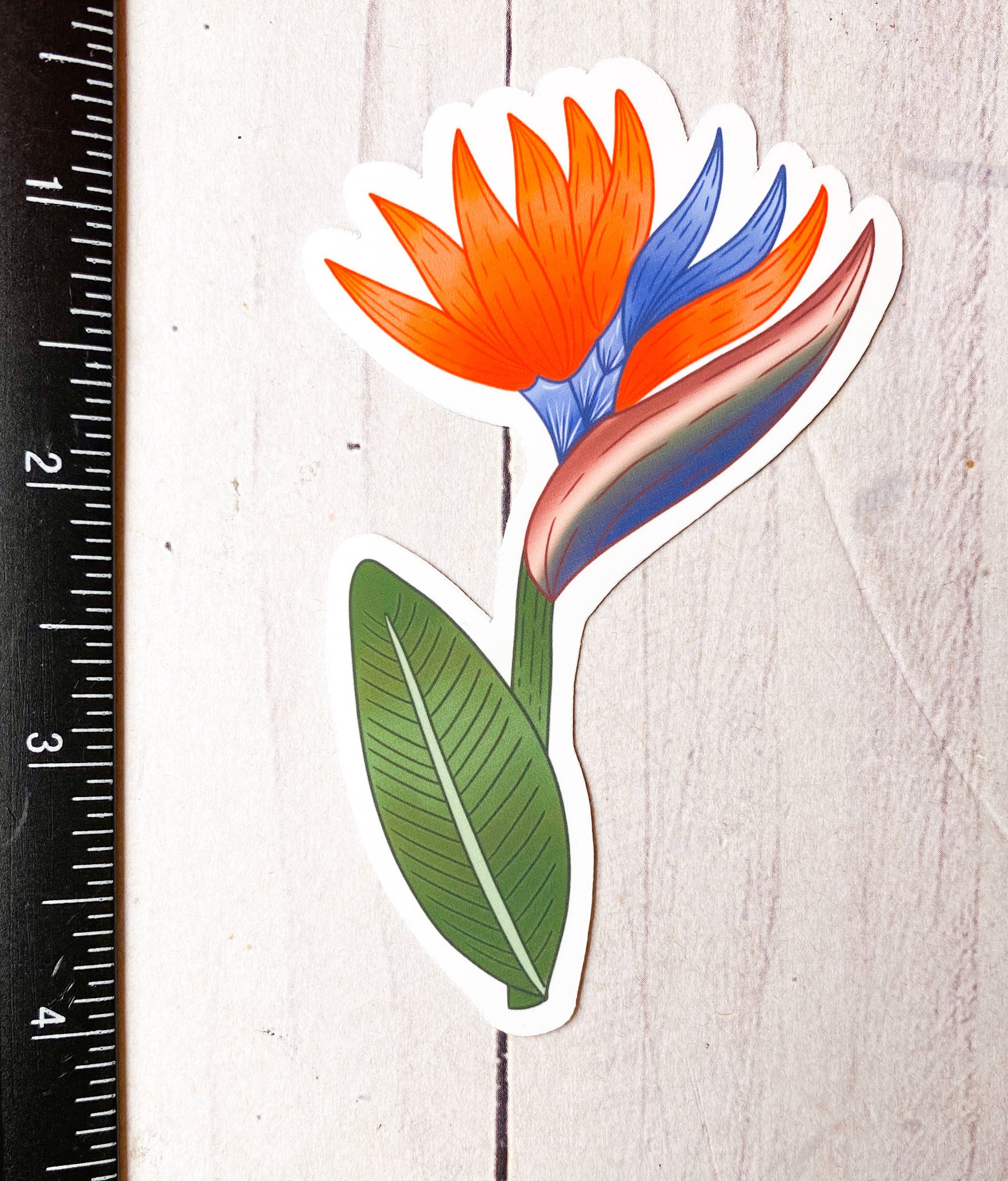 Bird of Paradise Sticker Stickers for Hydroflask Laptop - Etsy