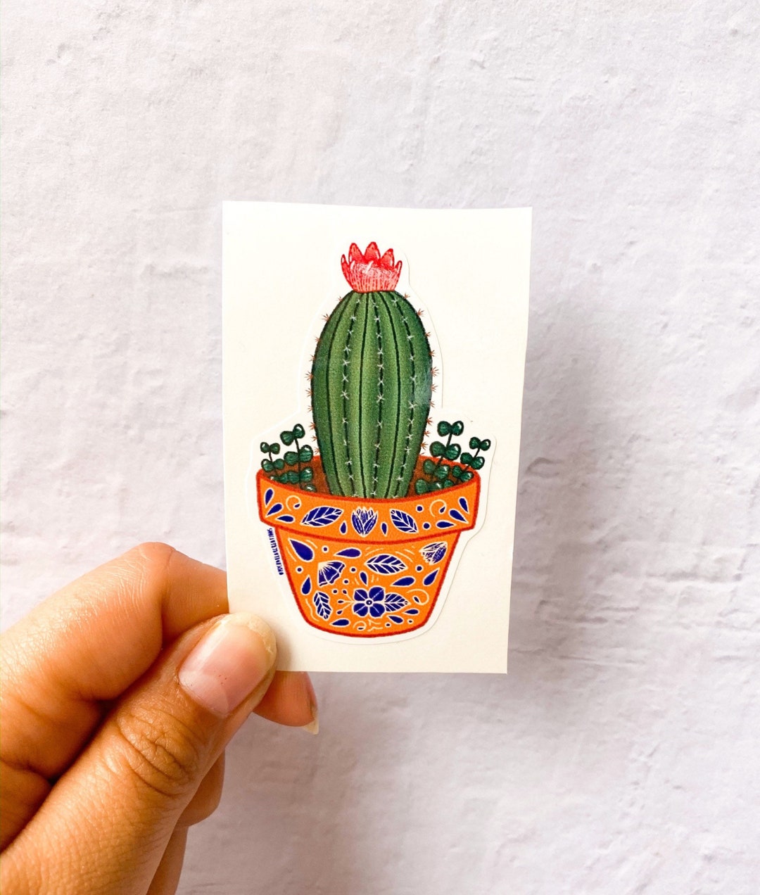 Cactus Sticker | Plant Sticker| Stickers for Hydroflask | Laptop ...