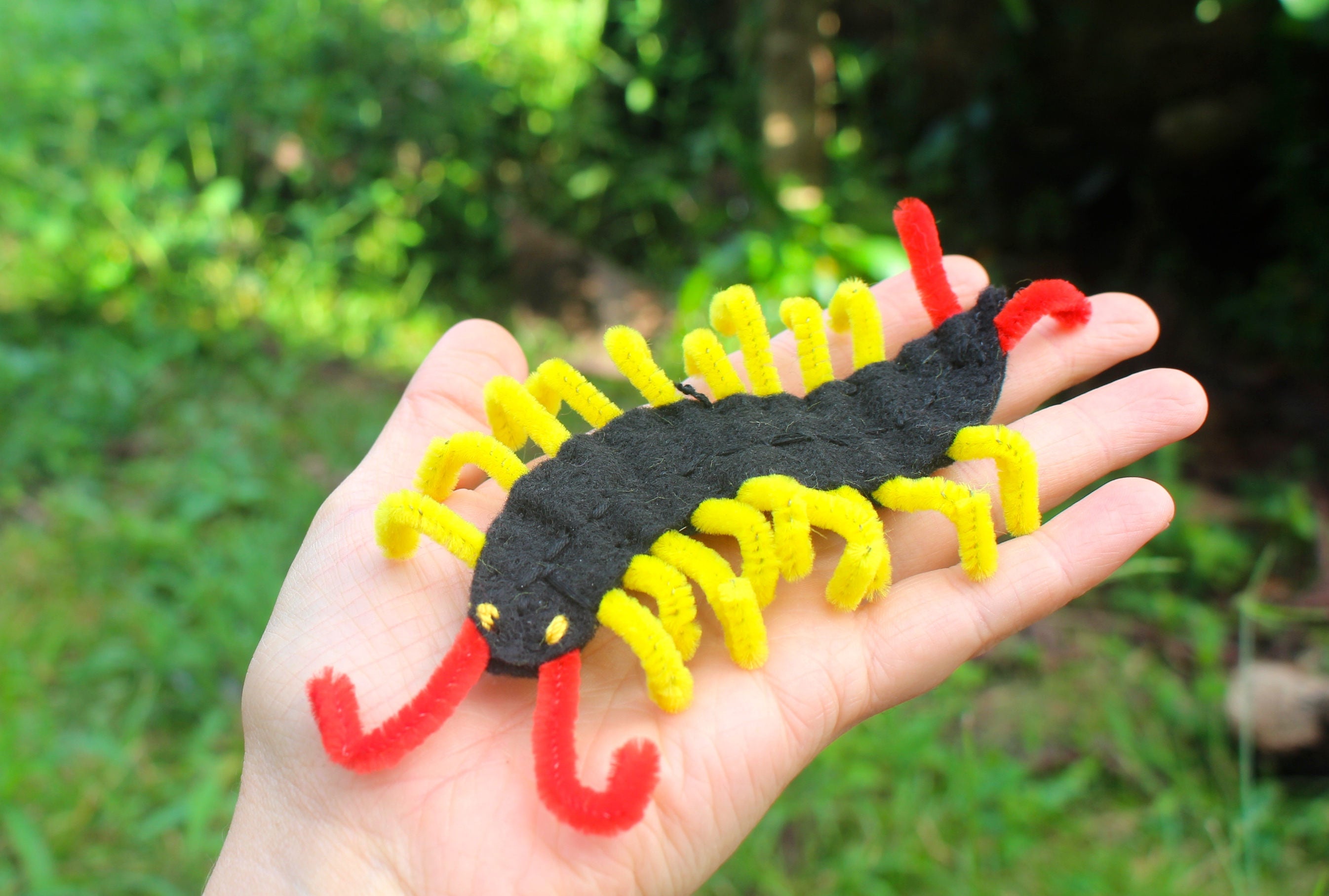 Pair of Felt Centipedes, Custom Colors. - Etsy