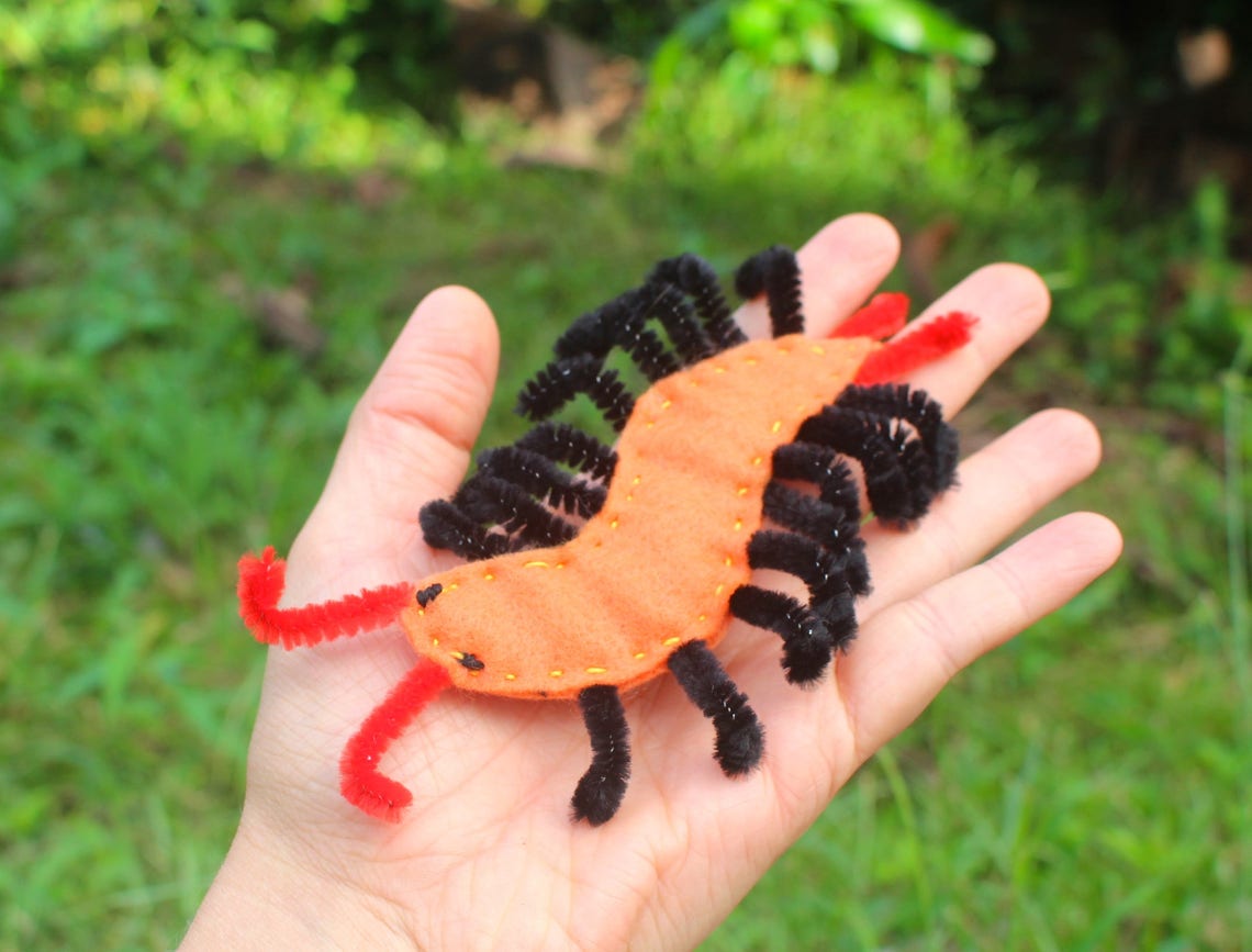 Pair of Felt Centipedes, Custom Colors. - Etsy