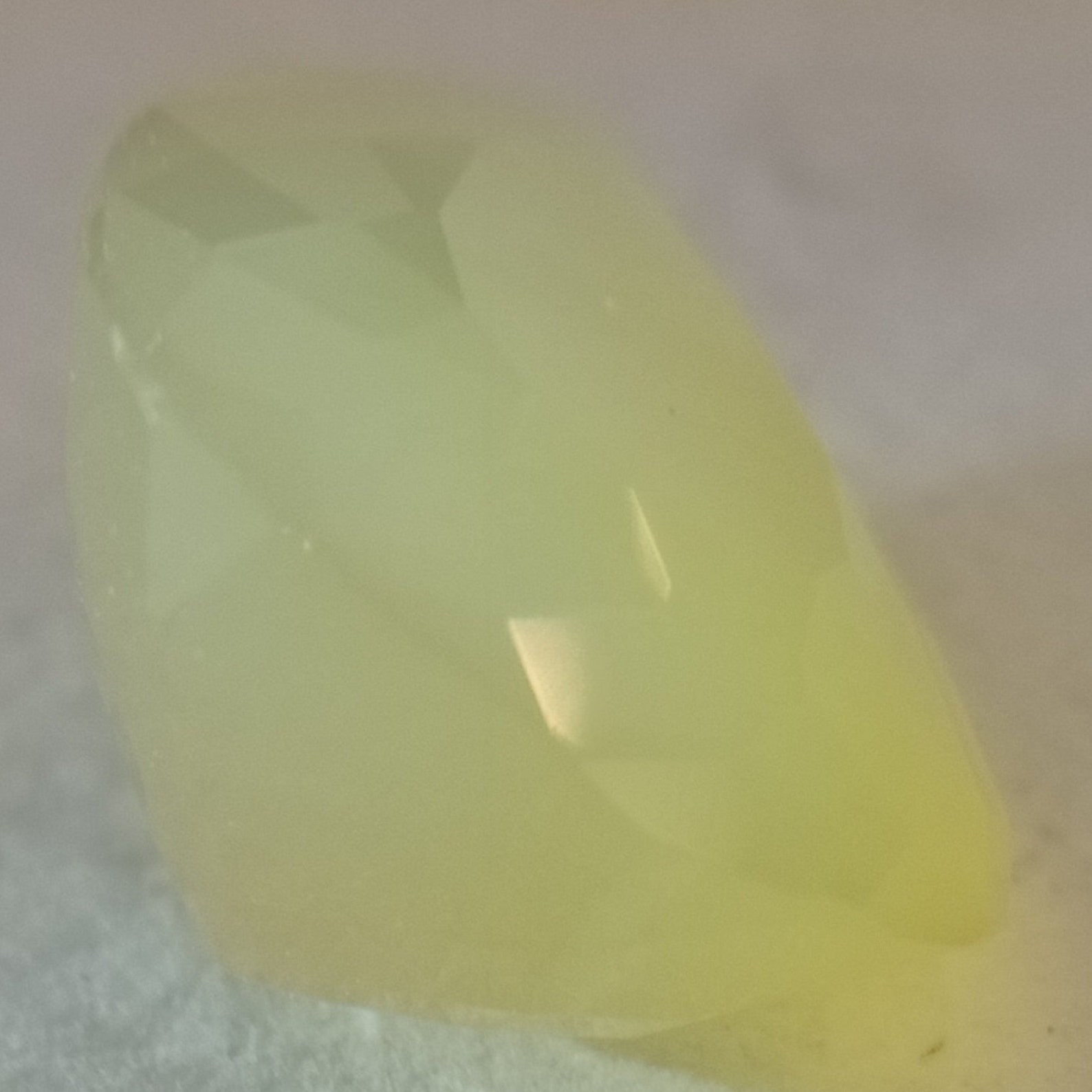 8.51 crt. Orangy Yellow Color Milky Opal Natural Untreated | Etsy