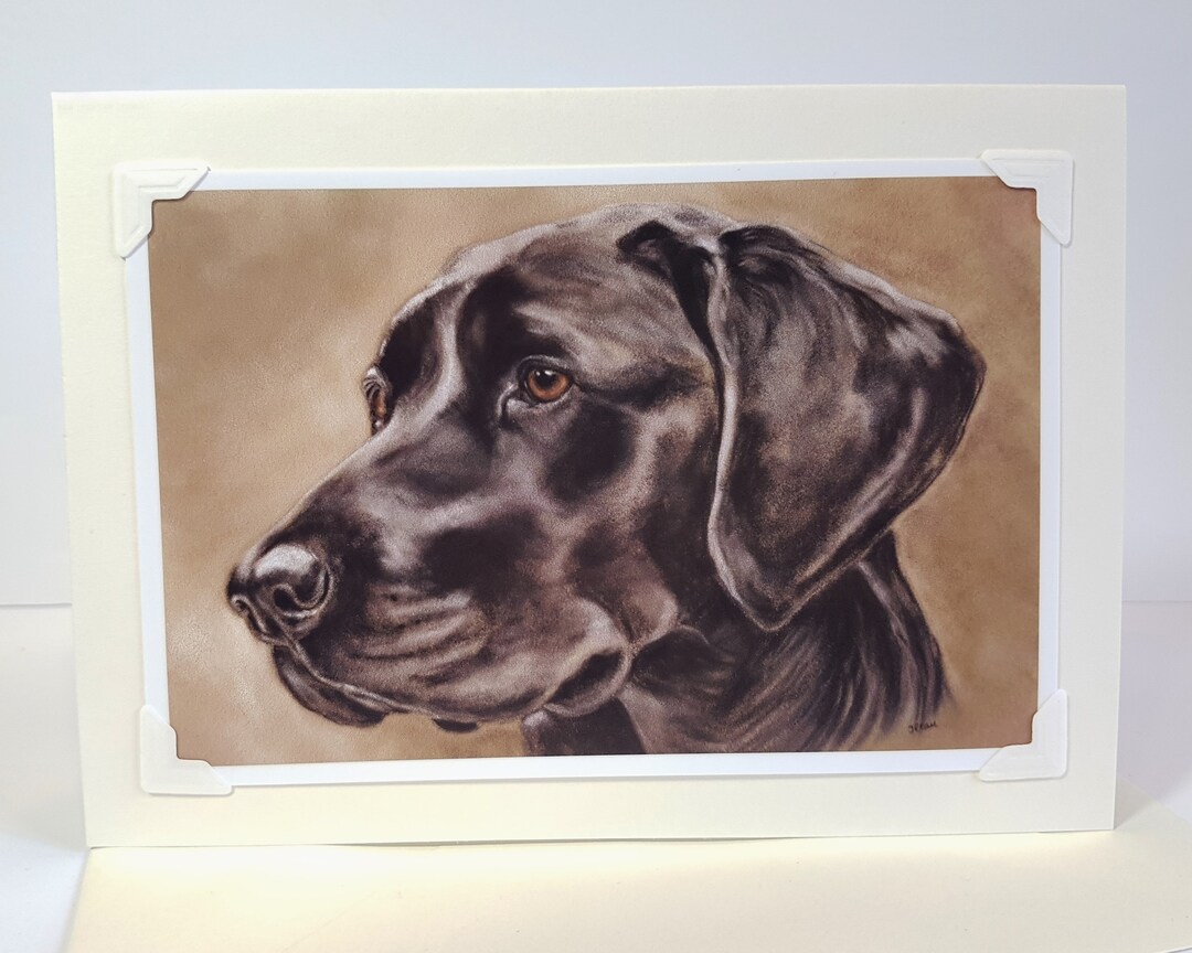 Black Labrador Card Original Art Print Labrador Gift Handmade Card - Etsy