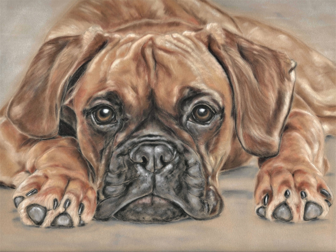 Boxer Dog Art Print: Original Dog Portrait, Various Sizes - Etsy