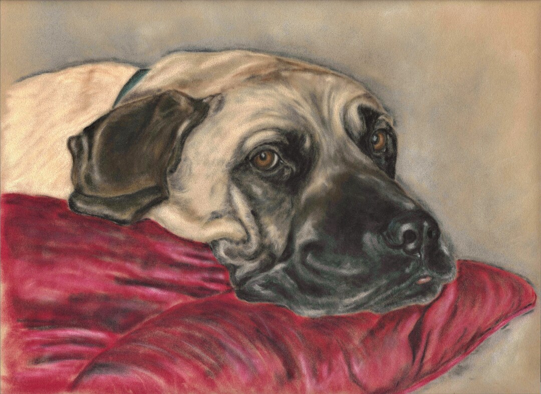 Impresión de Bullmastiff: Retrato canino en pastel «Tanque» - Etsy España