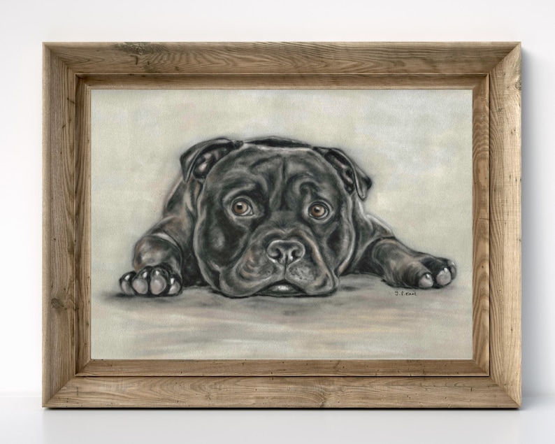 Staffordshire Bull Terrier Staffy Print Staffy Gifts - Etsy Australia