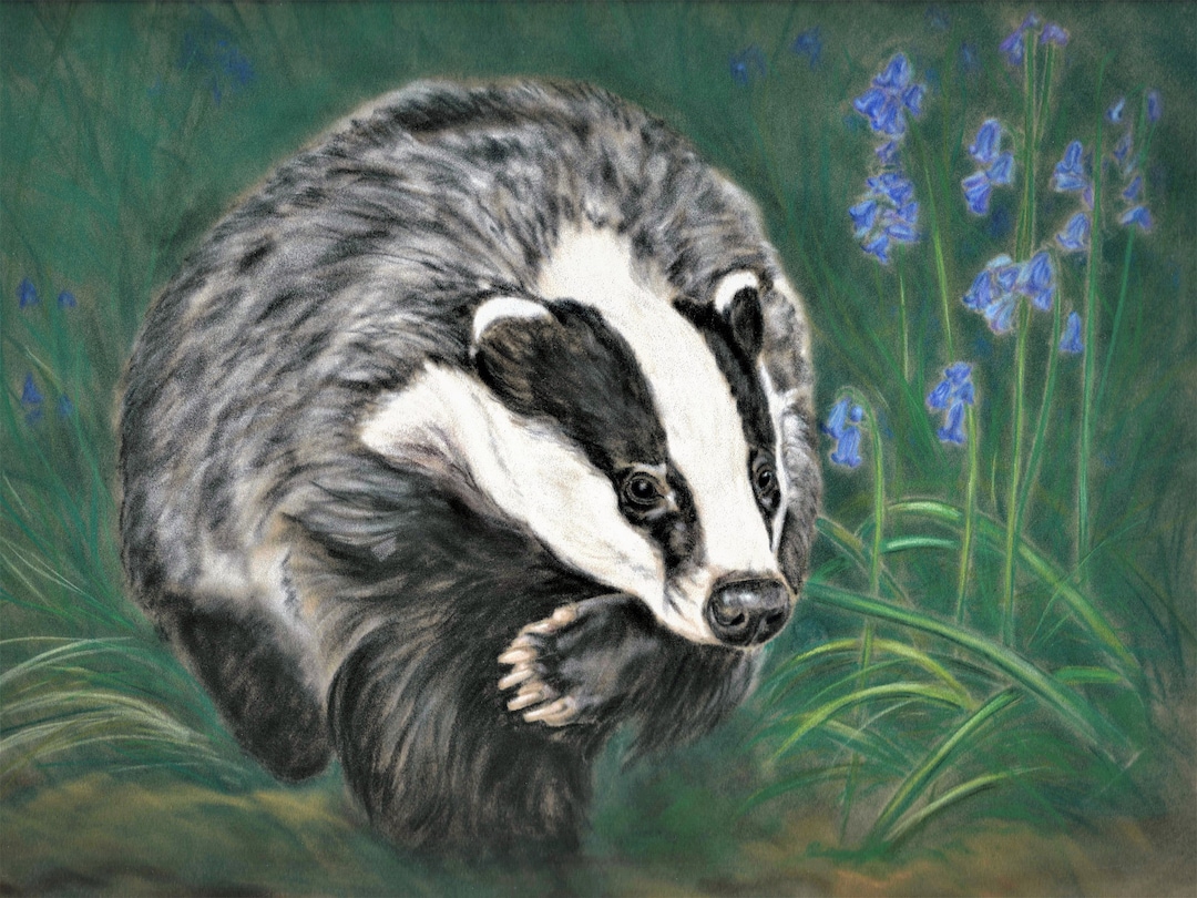 Badger Art - Original Art Print - Badger in Bluebells - Animal Painting ...