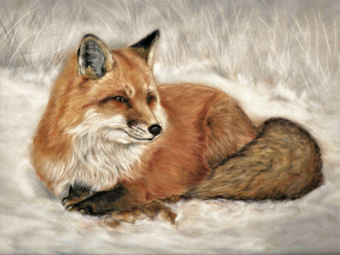 Fox Art Original Art Print Fox in Snow Animal Painting - Etsy
