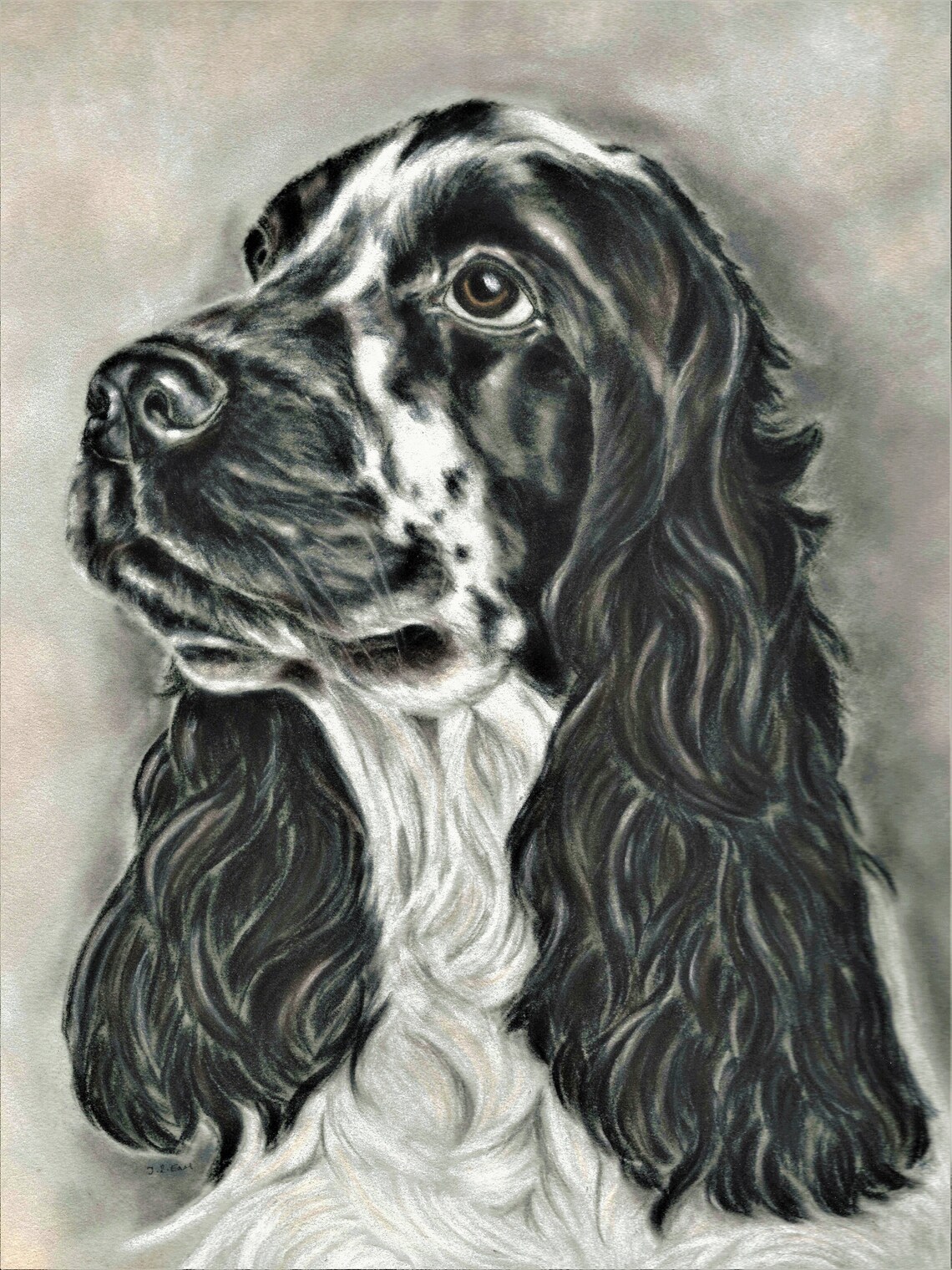 Cocker Spaniel Black and White Original Art Spaniel Print Dog - Etsy