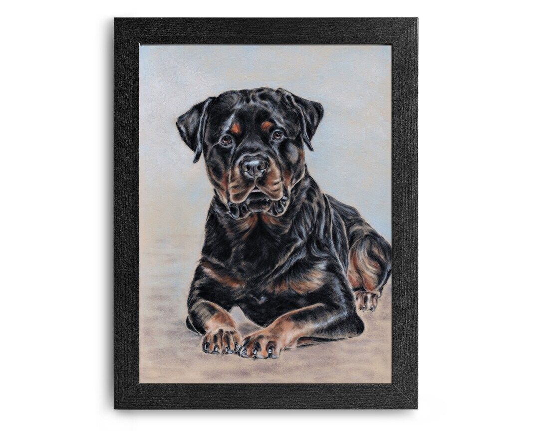Original Art Rottweiler Print Dog Wall Art - Etsy