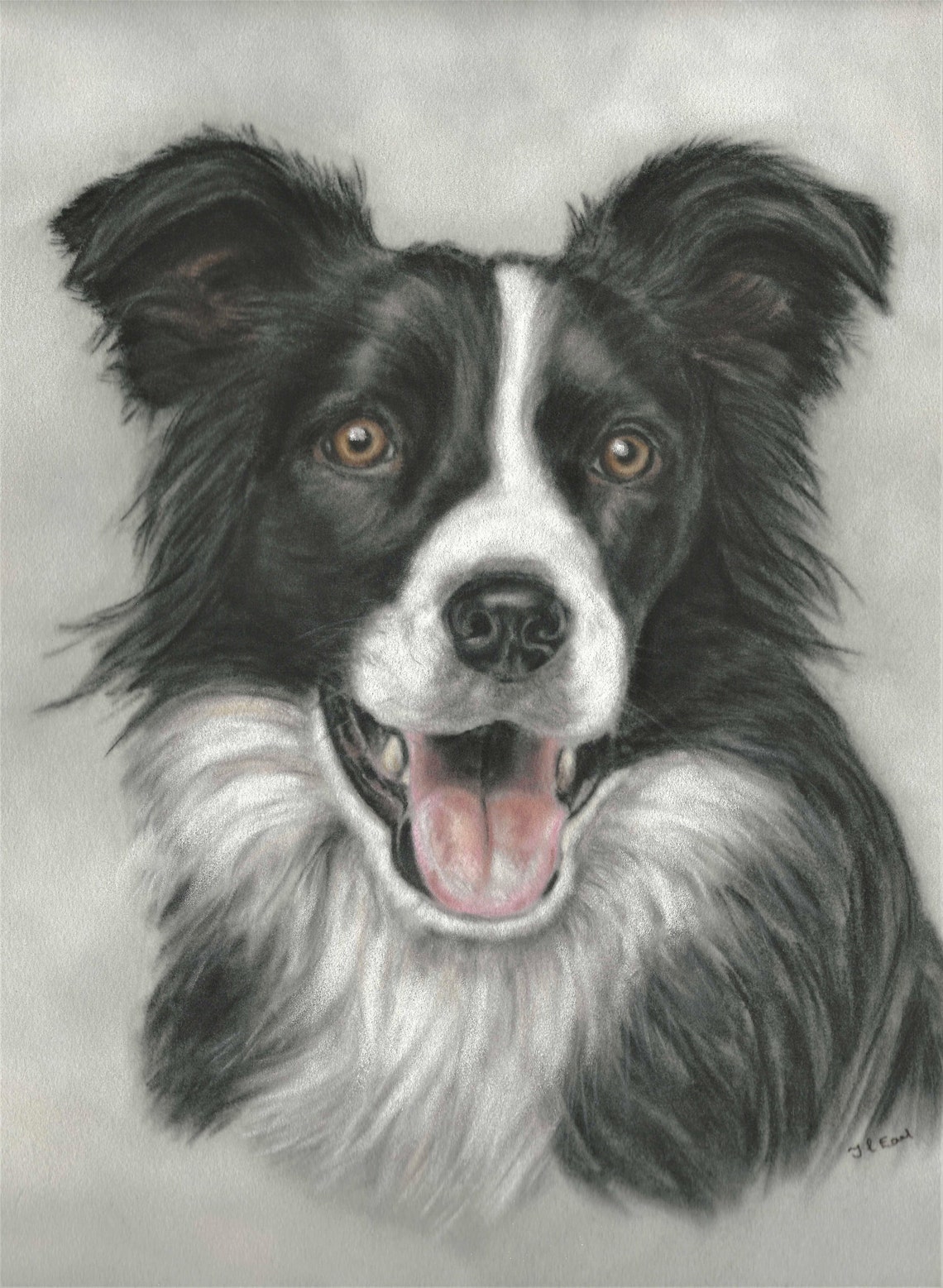 Border Collie Print Border Collie Gifts Dog Painting Dog - Etsy