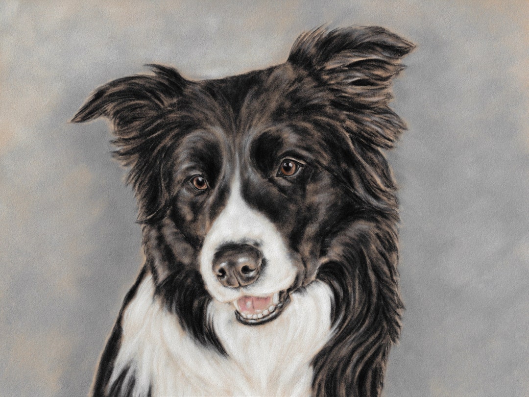 Border Collie Art Print - Dog Wall Art - Original Artwork - Border ...