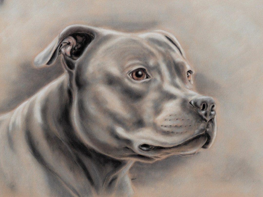 Staffordshire Bull Terrier - Original Art Print - Blue Staffy - Dog ...